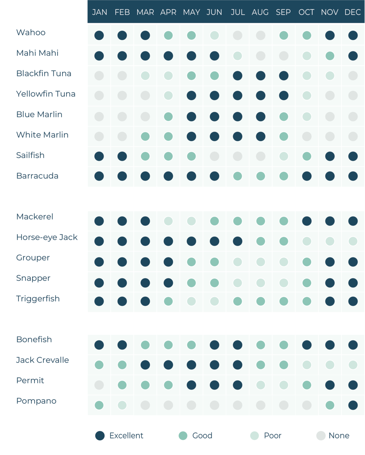 Fishing in Turks and Caicos, How to Reel in the Big One!